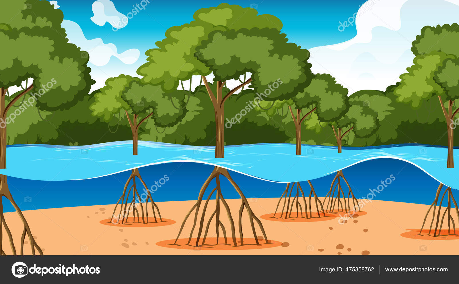 Mangrove Cartoon