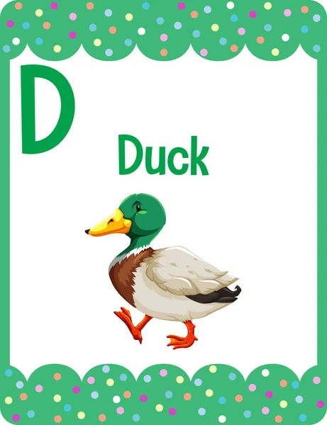 Flashcard letter M is for mallard duck Stock Vector by ©blueringmedia ...