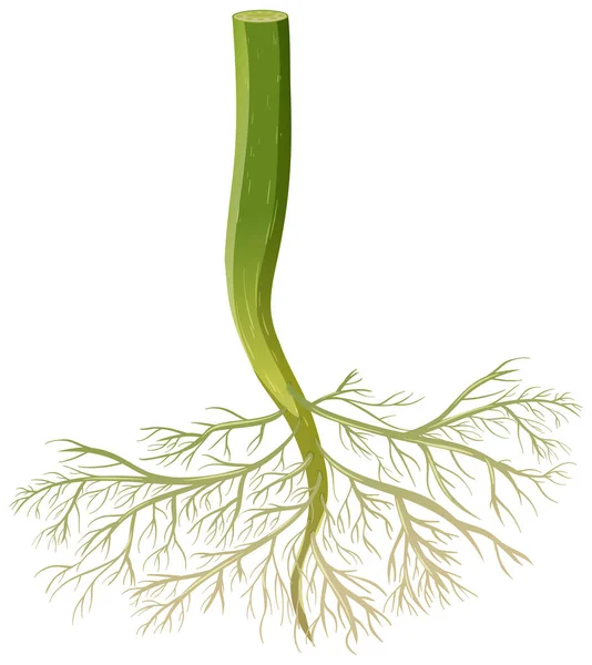 เกี่ยวกับพืชพันธุ์ Stock Photos, Royalty Free เกี่ยวกับพืชพันธุ์ Images ...