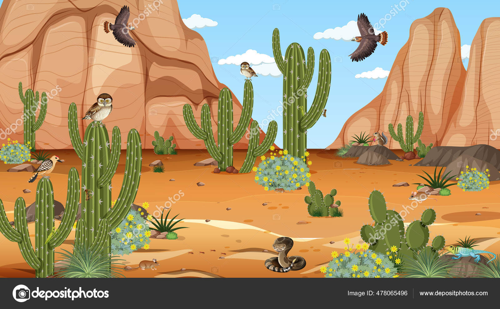 Animales Del Desierto Tierra De Salvajes