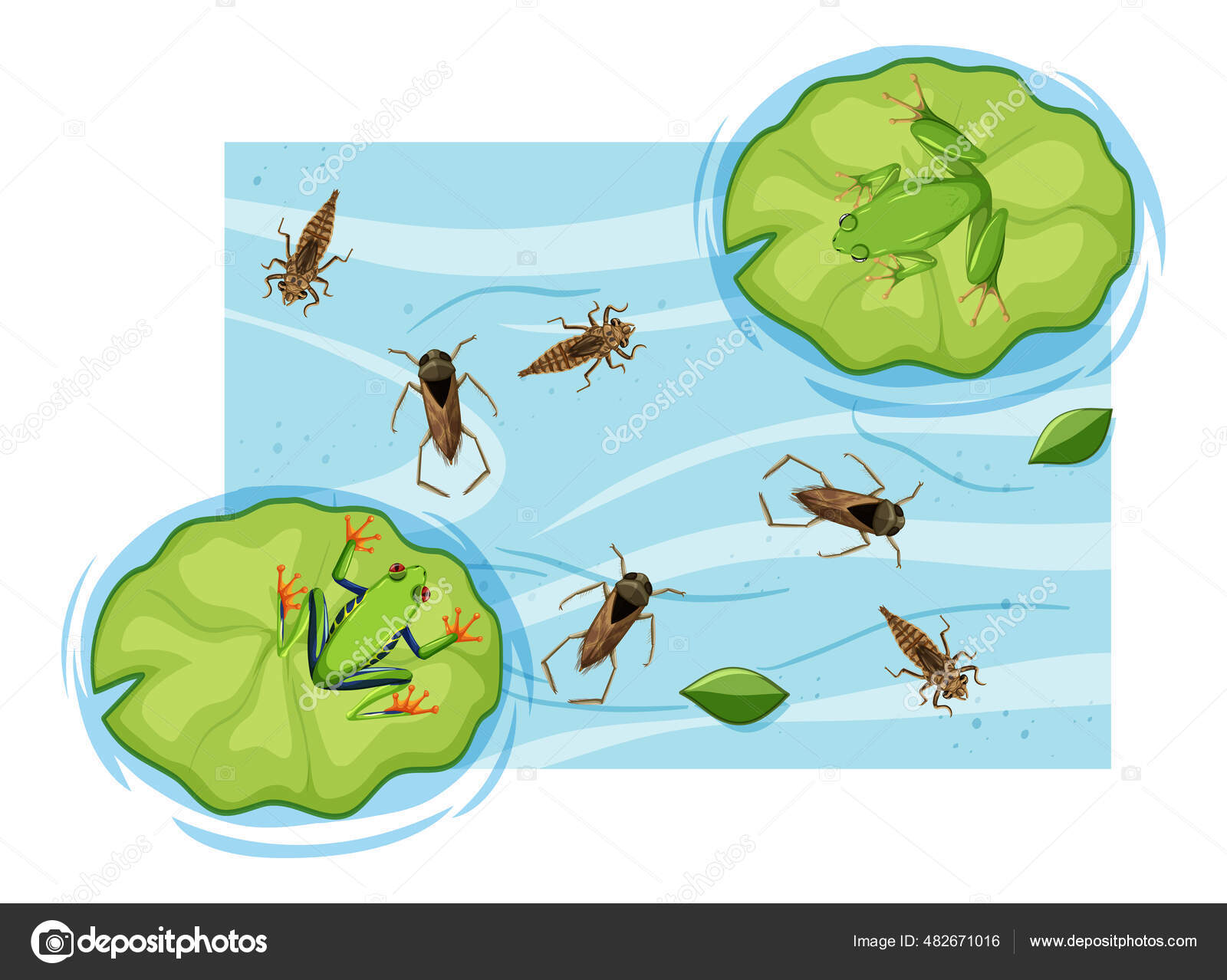Top View Aquatic Insects Pond Illustration Stock Vector Image by ...