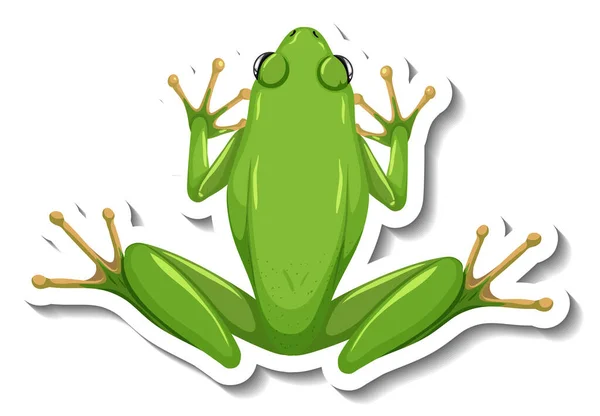 Top View Frog Stone Isolated White Background Illustration Stock Vector ...