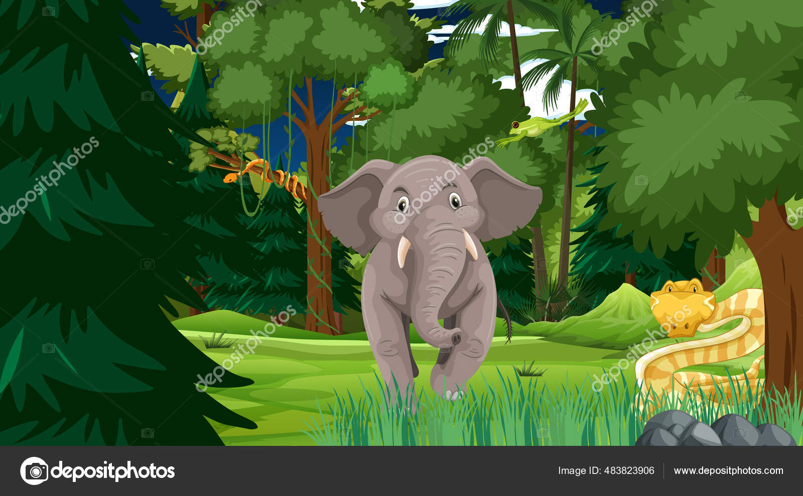 Forest Night Time Scene Different Wild Animals Illustration Stock ...