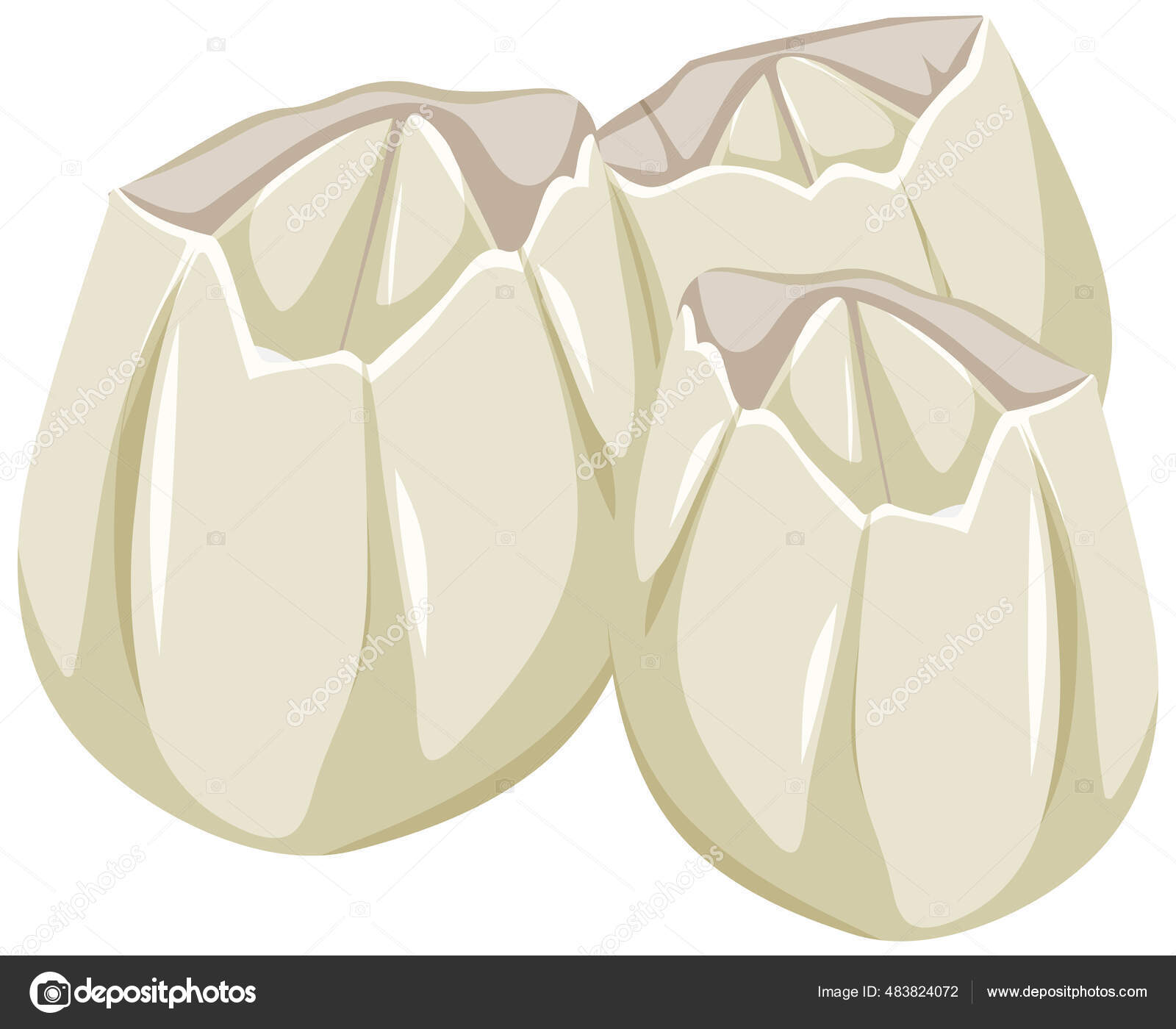 Ivoly Barnacles Cartoon Style White Background Illustration Stock ...