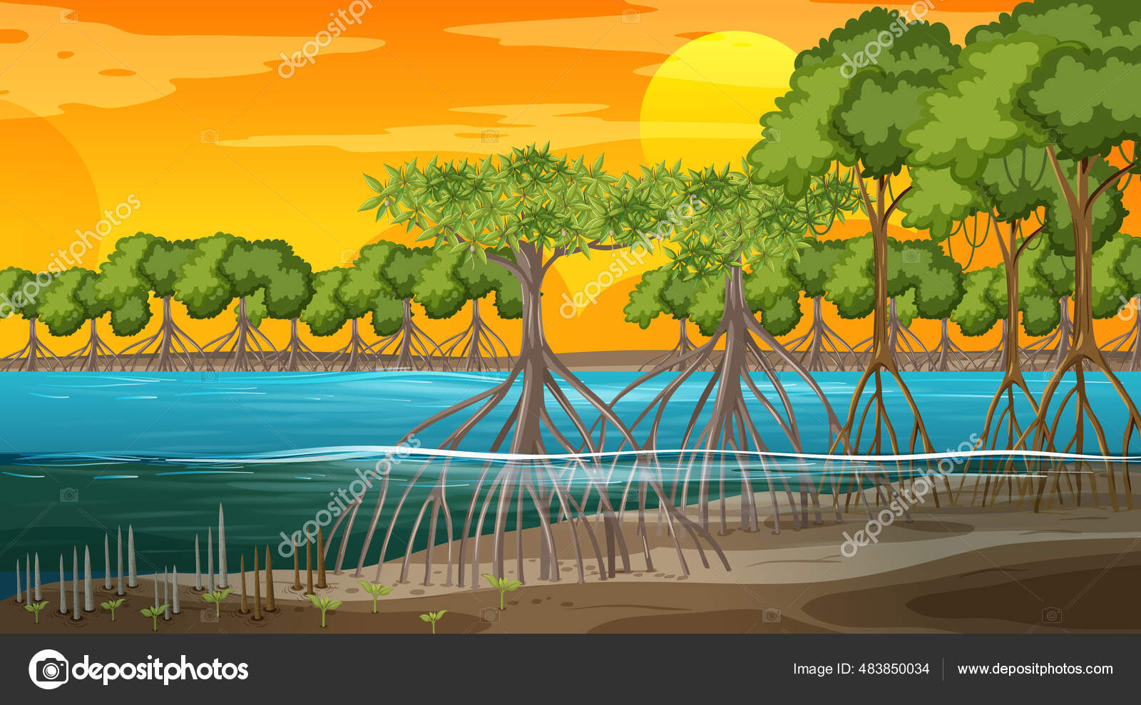 Mangrove Cartoon