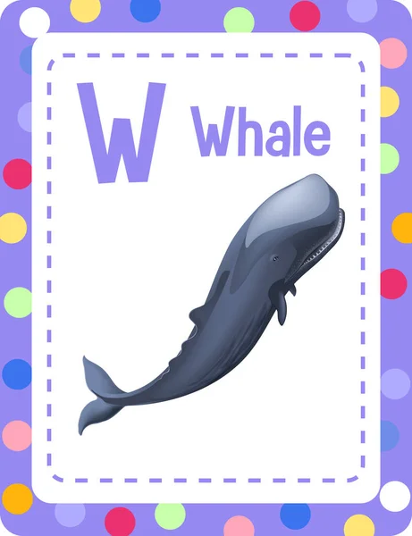 Flashcard letter W is for whale Stock Vector by ©blueringmedia 106635494