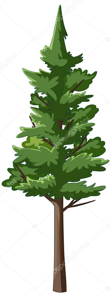 Cartone Animato Albero Di Pino Png Clipart Di Pino, Pino, Clipart Ad