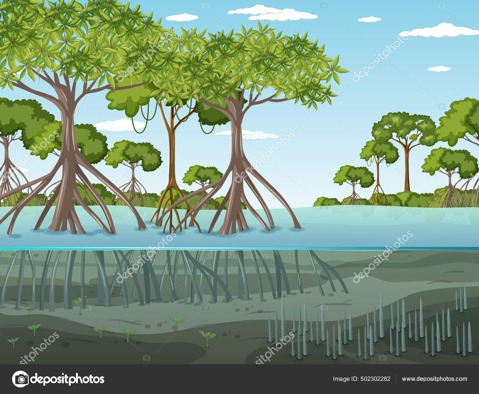 Manglar Bosque Paisaje Escena Día Ilustración Vector de stock ...