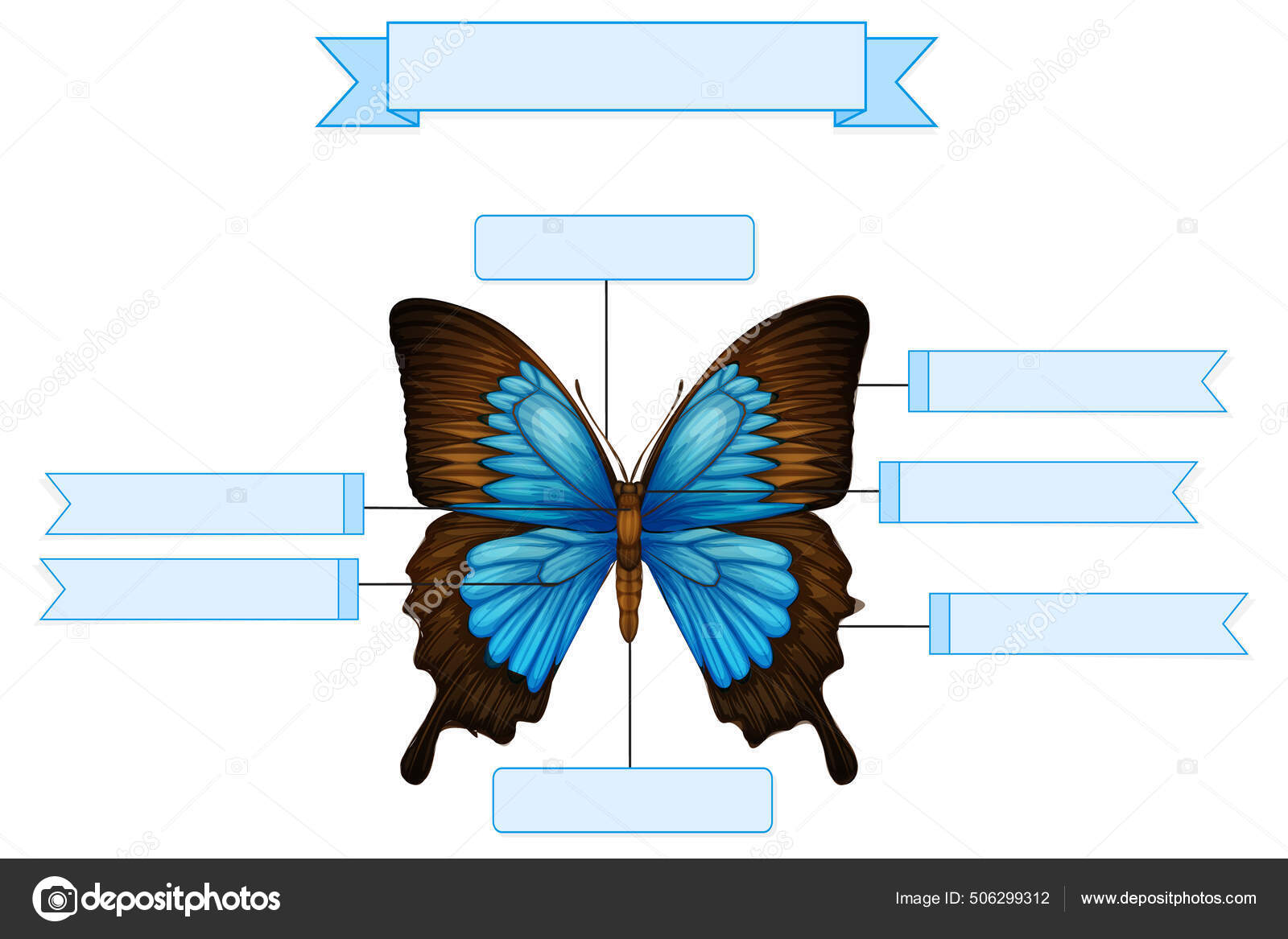 Hoja De Trabajo Sobre Las Partes De Una Mariposa