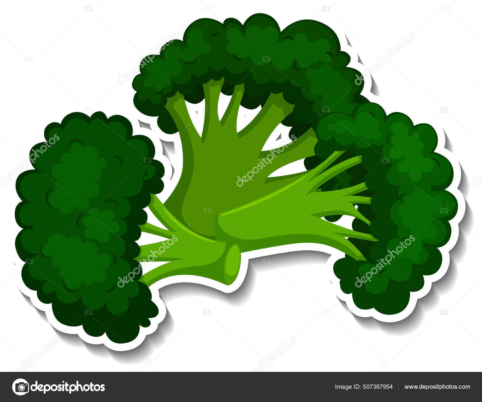Broccoli Sticker White Background Illustration Stock Vector by ...
