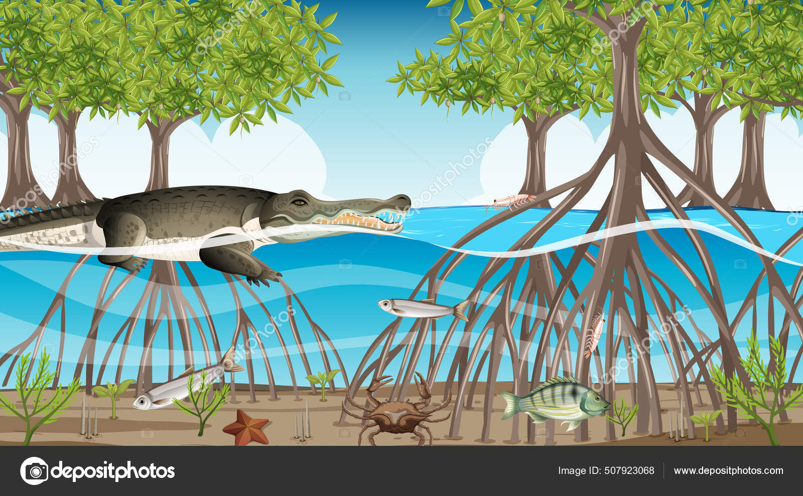 Animals Live Mangrove Forest Daytime Scene Illustration Stock Vector by ...