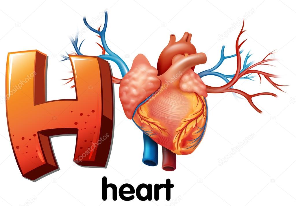 A letter H for heart — Stock Vector © blueringmedia #53500963