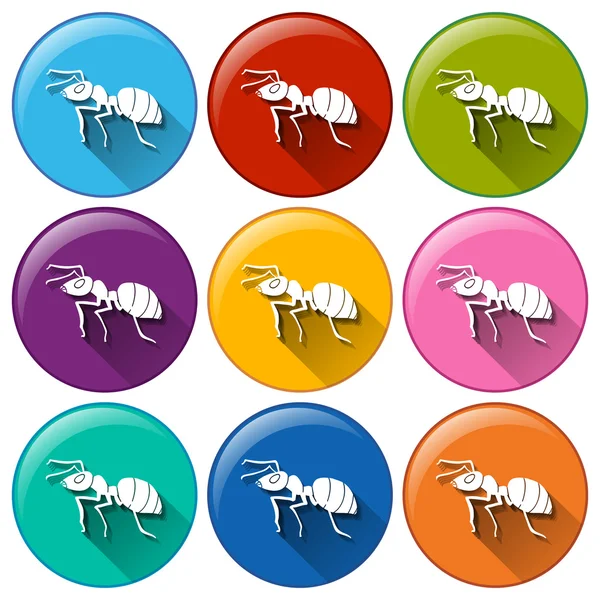 Insect icons Stock Vector Image by ©blueringmedia #50846421