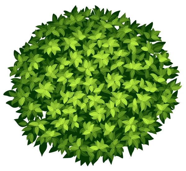 100,000 Tree top down Vector Images | Depositphotos