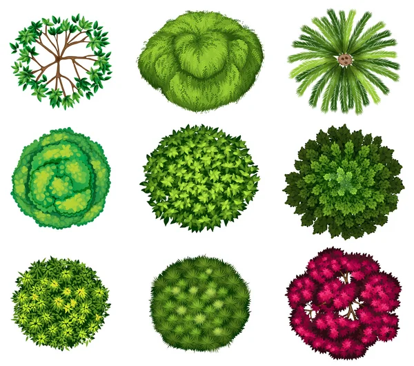 1,456 Top down view Vector Images - Free & Royalty-free Top down view ...