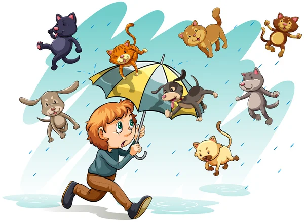 Animated Raining Cats And Dogs Gif