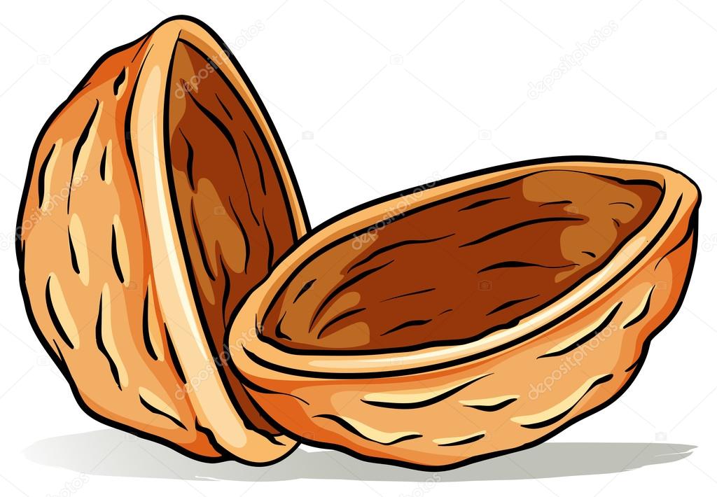 A Nutshell Stock Vector Image By ©blueringmedia 65499775