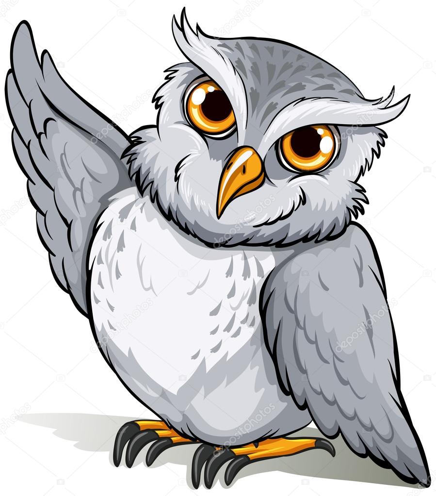Free Owl Clipart Image