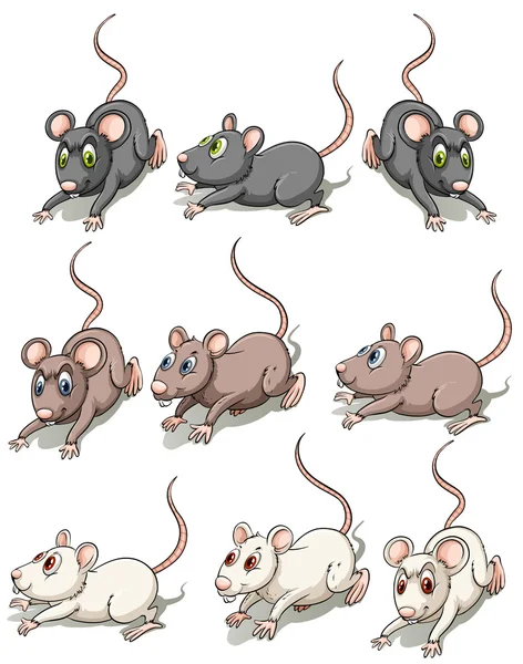 Ratas imágenes de stock de arte vectorial | Depositphotos