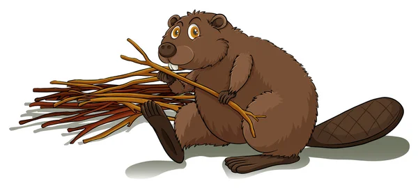 Beaver Vector Art Stock Images | Depositphotos
