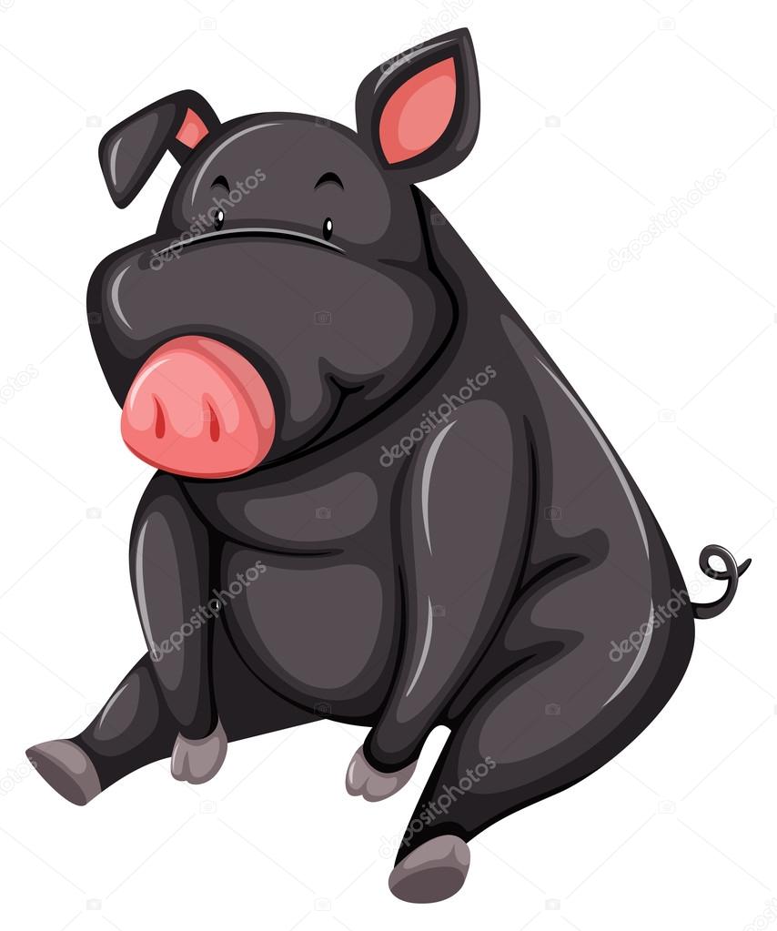 Fat gray pig Stock Vector Image by ©blueringmedia #67675135