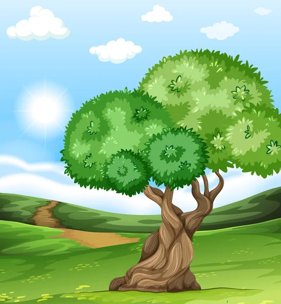 19,433,101 ilustraciones de stock de Campo dibujo | Depositphotos