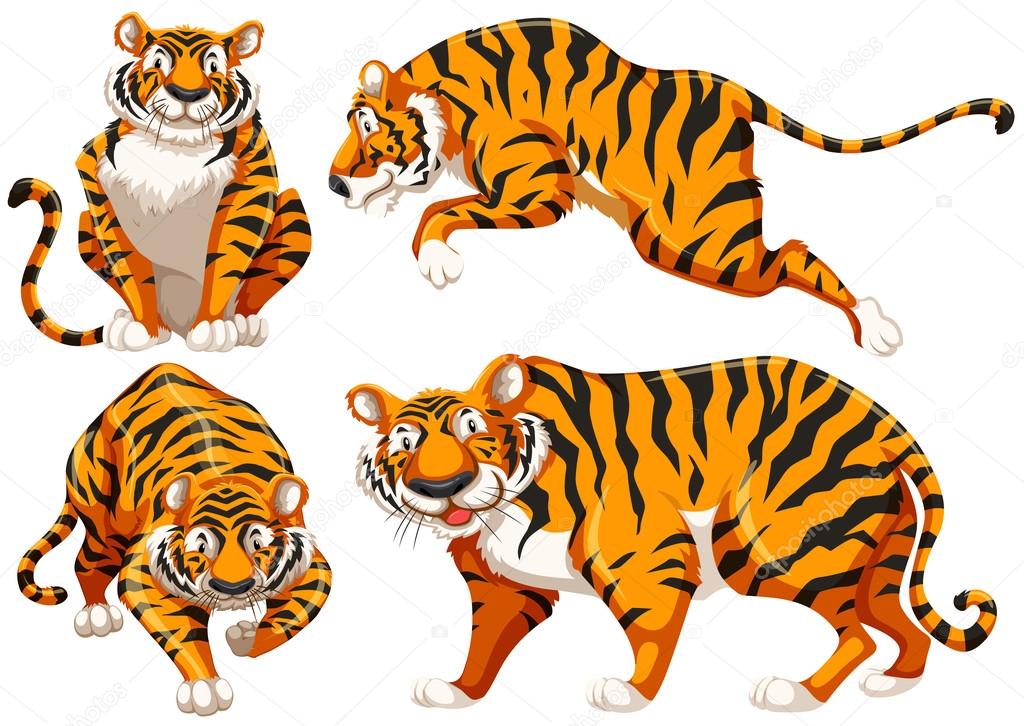 Tigers Stock Vector Image by ©blueringmedia #73900515