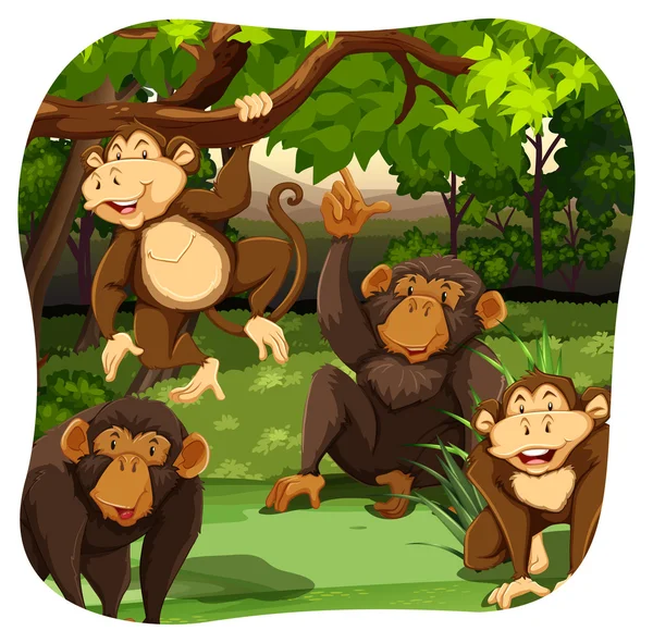 134 Four monkeys Vector Images | Depositphotos