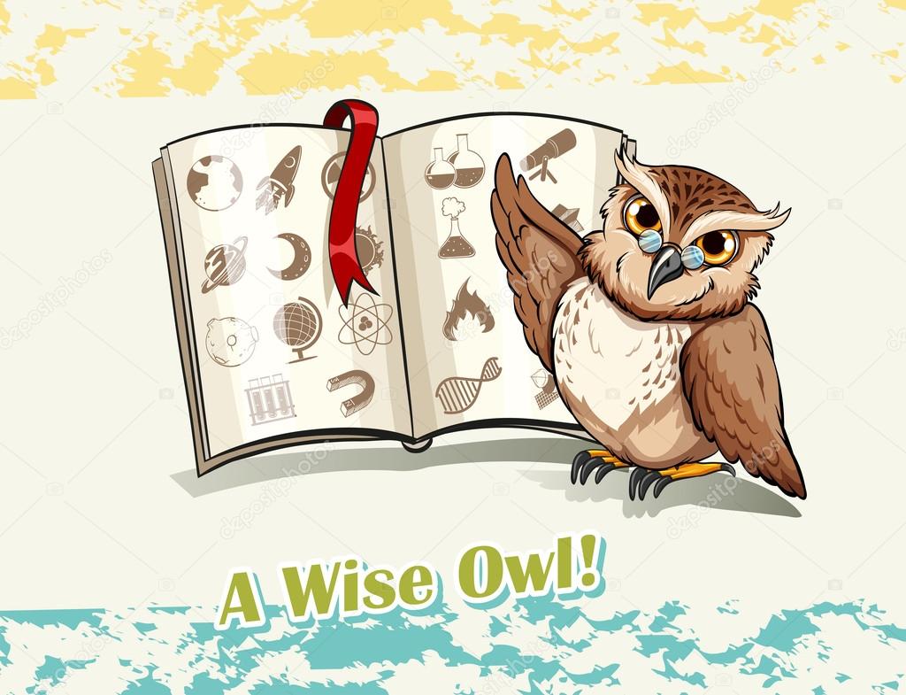 Búho Leyendo Un Libro Clipart Lindo Búho De Dibujos Animados