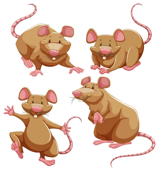 Dirty Rat Clipart Rodents