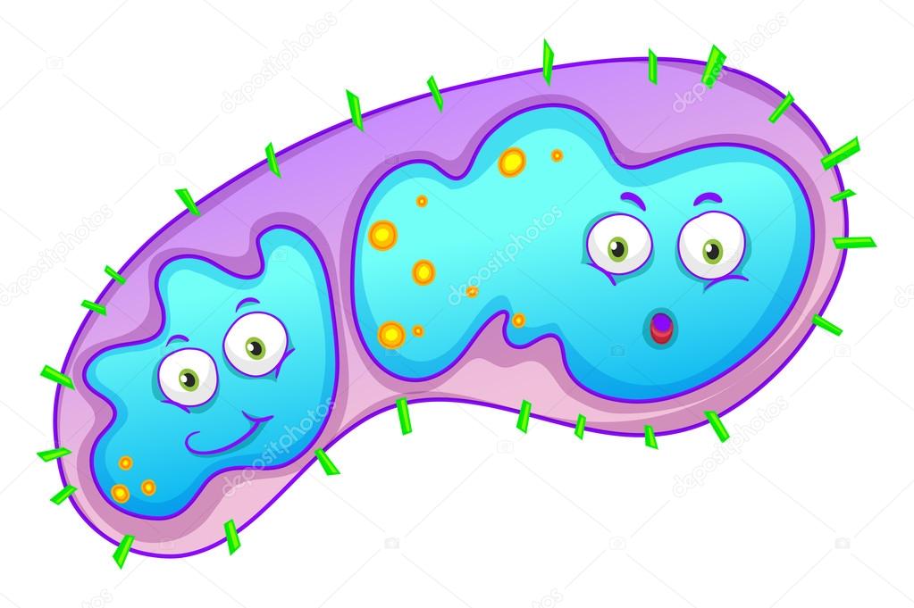 Bacteria with happy face Stock Vector by ©blueringmedia 83087244