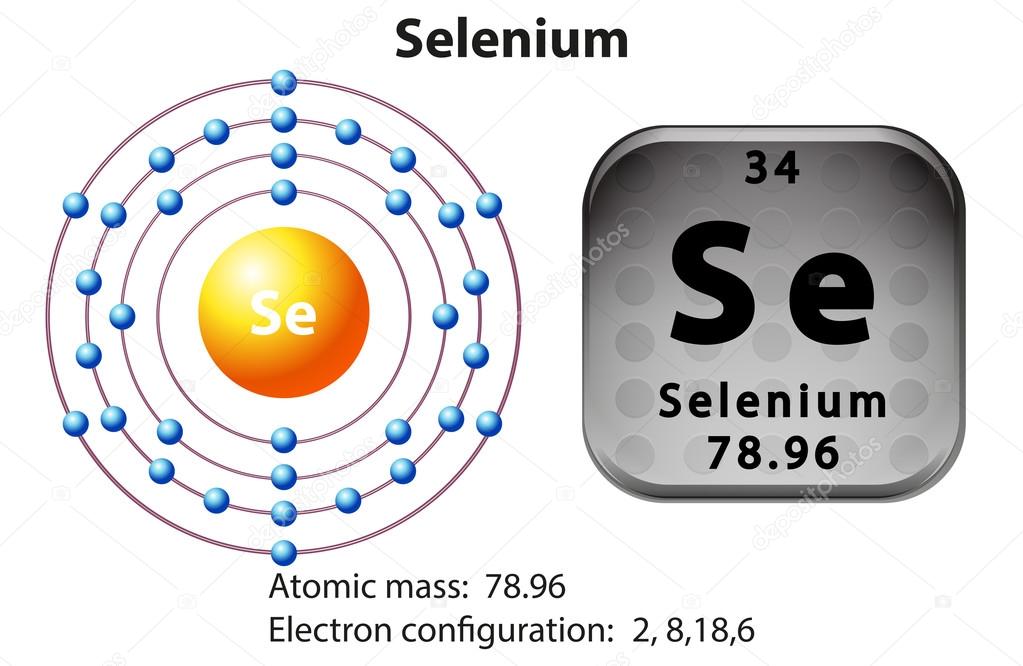 Symbol and electron diagram for Selenium Stock Vector Image by ...