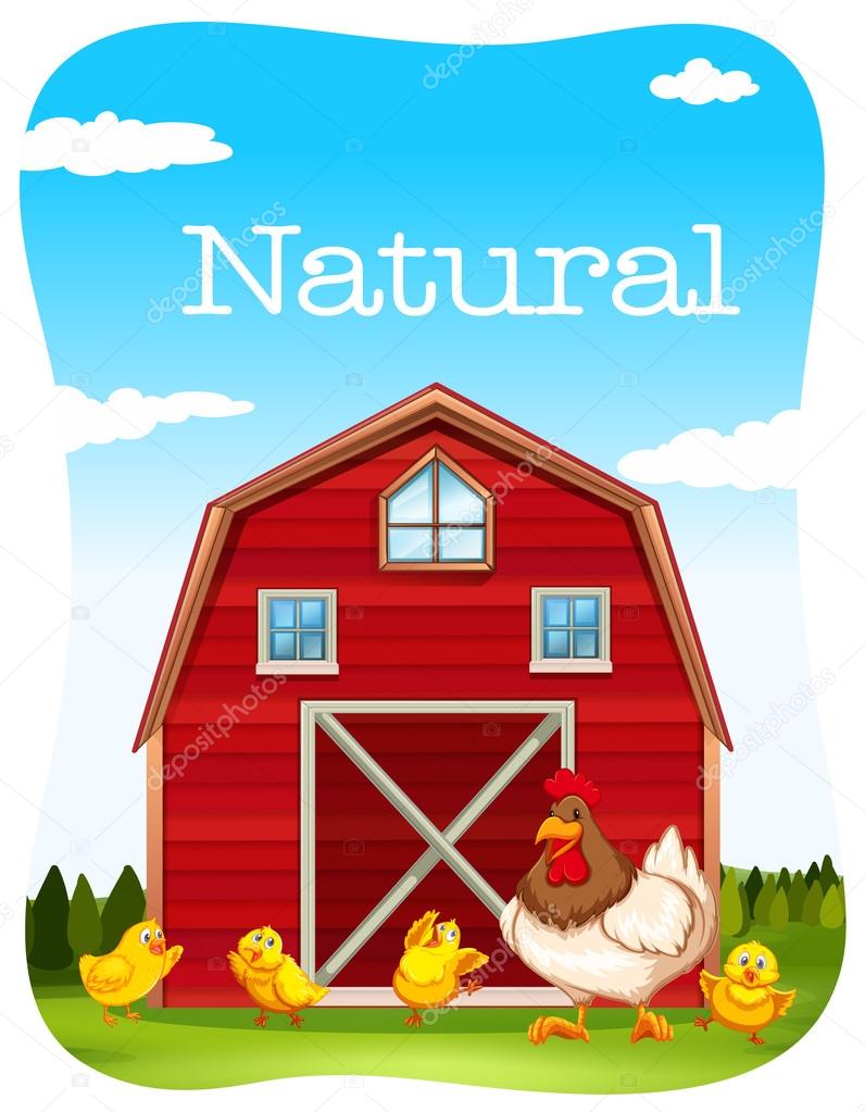Chicken and red barn Stock Vector Image by ©blueringmedia #85867098