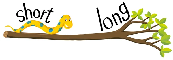 Opposite adjectives long and short — Stock Vector © blueringmedia #87003274