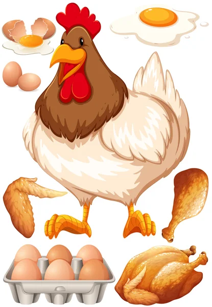 100,000 Animal nutrition Vector Images | Depositphotos