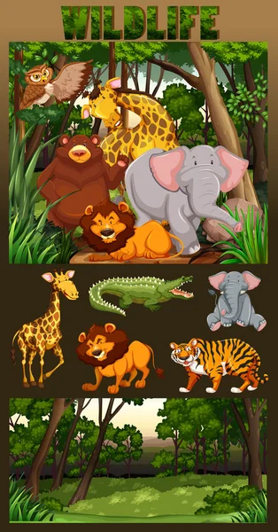 Wildlife living in the forest - Stock Image - Everypixel