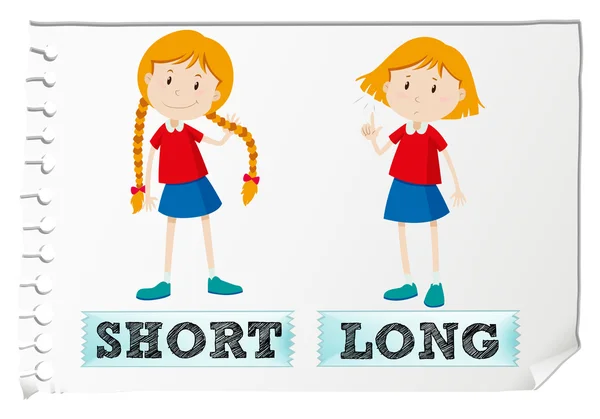 Short and long Images - Search Images on Everypixel