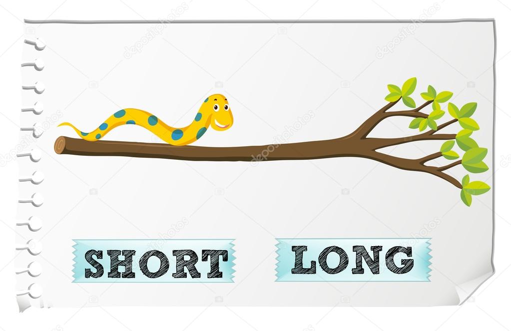 Opposite adjectives short and long Stock Vector by ©blueringmedia 93071106