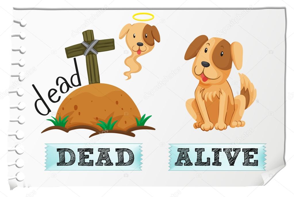 Opposite adjectives dead and alive Stock Vector by ©blueringmedia 93688236