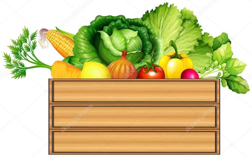 Fresh vegetables in the box Stock Vector by ©blueringmedia 97186336