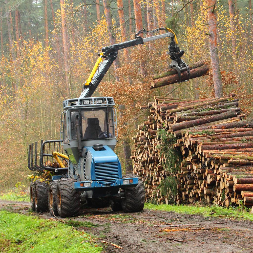 The harvester working in a forest Stock Photo by ©vladvitek 65974149