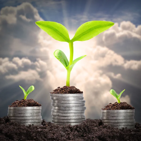 ᐈ Growth stock pictures, Royalty Free money growth images | download on ...