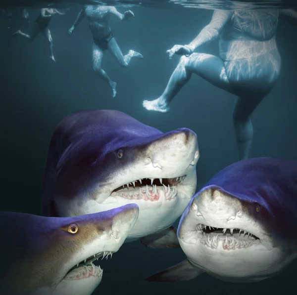 Three sharks have a fun — Stock Photo © vladvitek #66003963