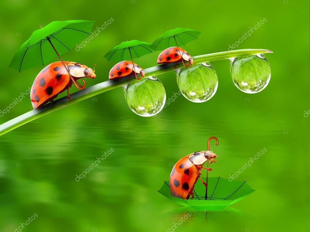 Little ladybugs with umbrella over pond — Stock Photo © vladvitek #66002943