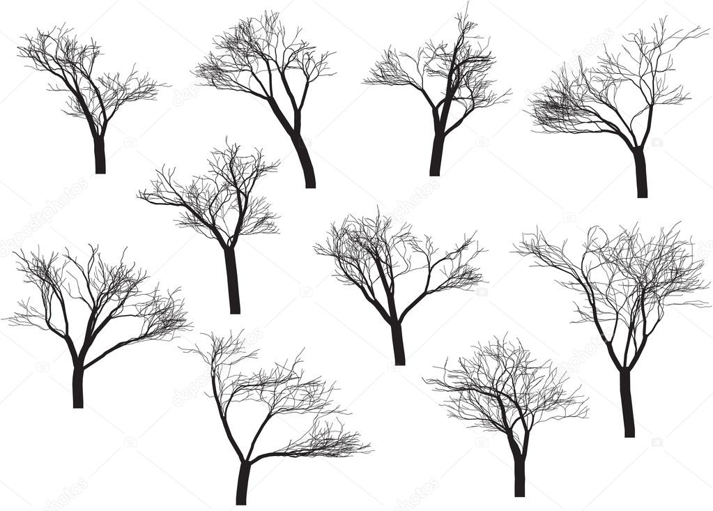 Árbol negro vector entero: fotografía de stock © jamesstar #107300244 ... Árbol negro vector entero: fotografía de stock © jamesstar #107300244 ...
