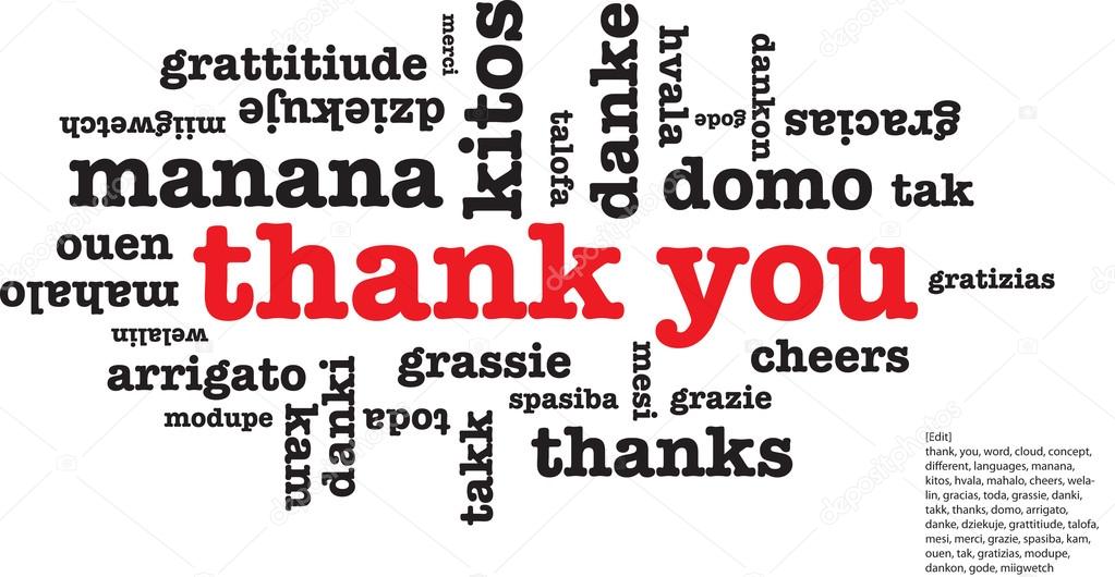 Thank You Word Cloud Concept — Stock Photo © jamesstar #117473546