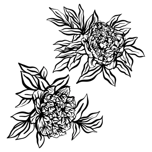 15,828,918 Garabatos tatuaje Vector Images | Depositphotos