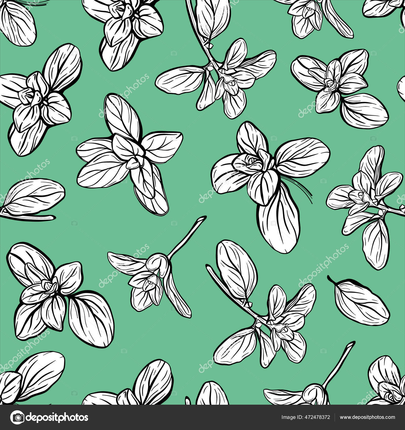 Basil Seamless Pattern. Italian herbs.A sprig of marjoram. Basil is a fragrant and fragrant ...