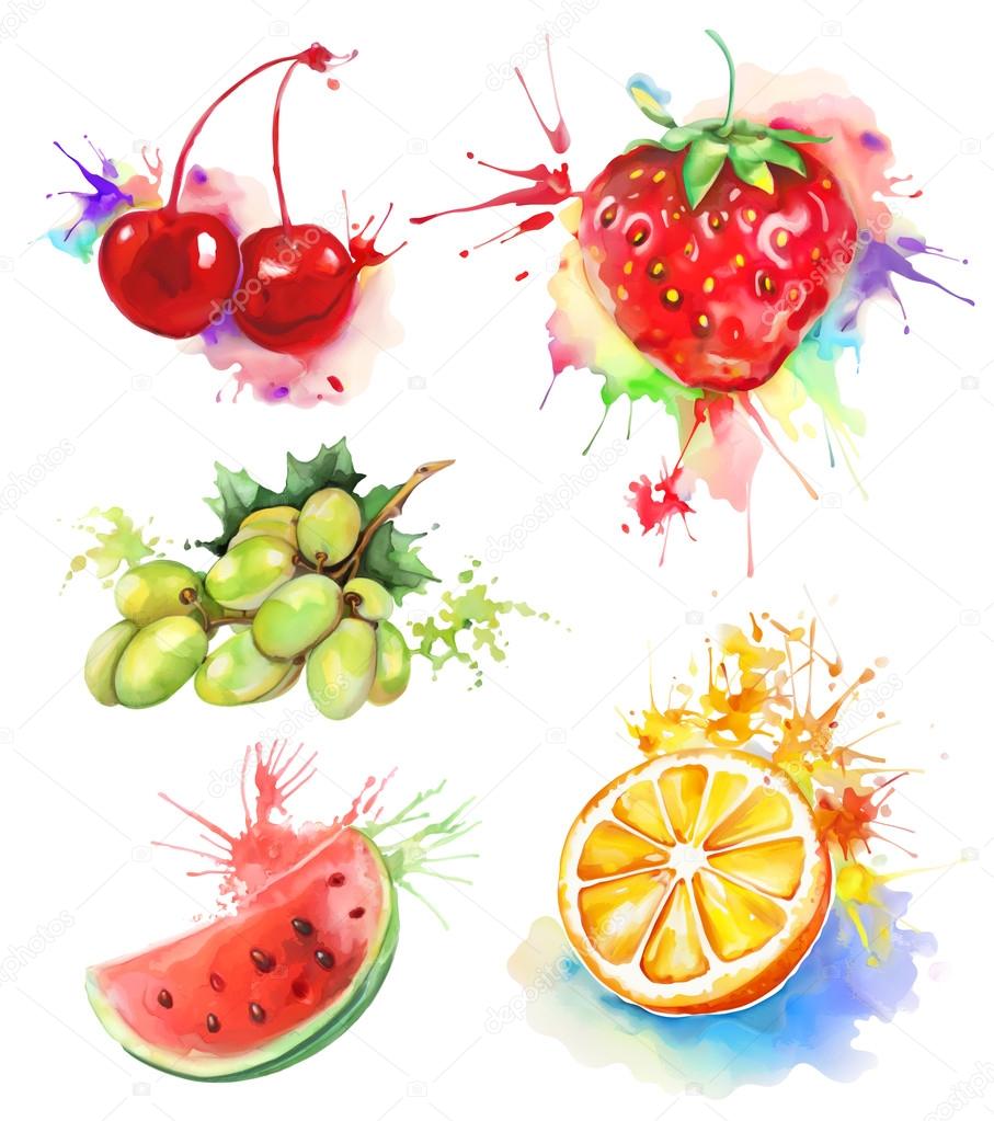 Watercolor painting fruits and berries Stock Vector Image by ©natis76 ...