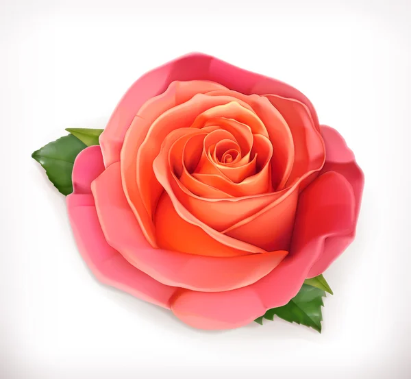 Rose flower, vector illustration Stock Vector Image by ©natis76 #67635717